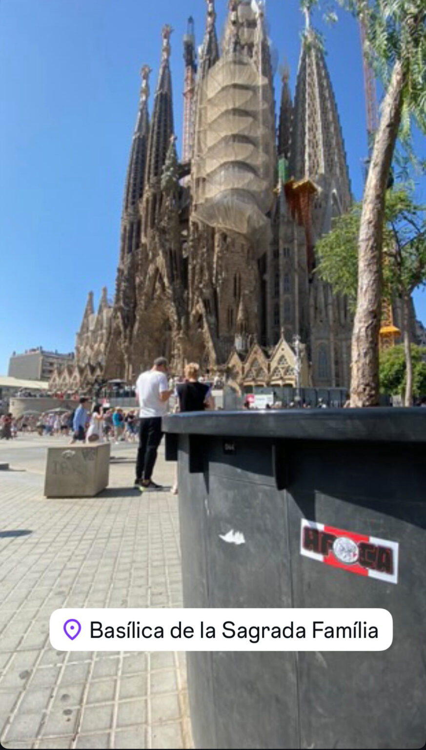 De beste Ajax Stickers | Home | Ajaxstickershop 1900|